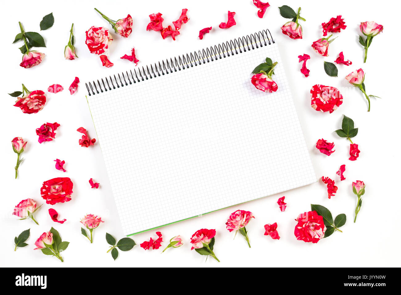 Top view table rose Cut Out Stock Images & Pictures - Alamy