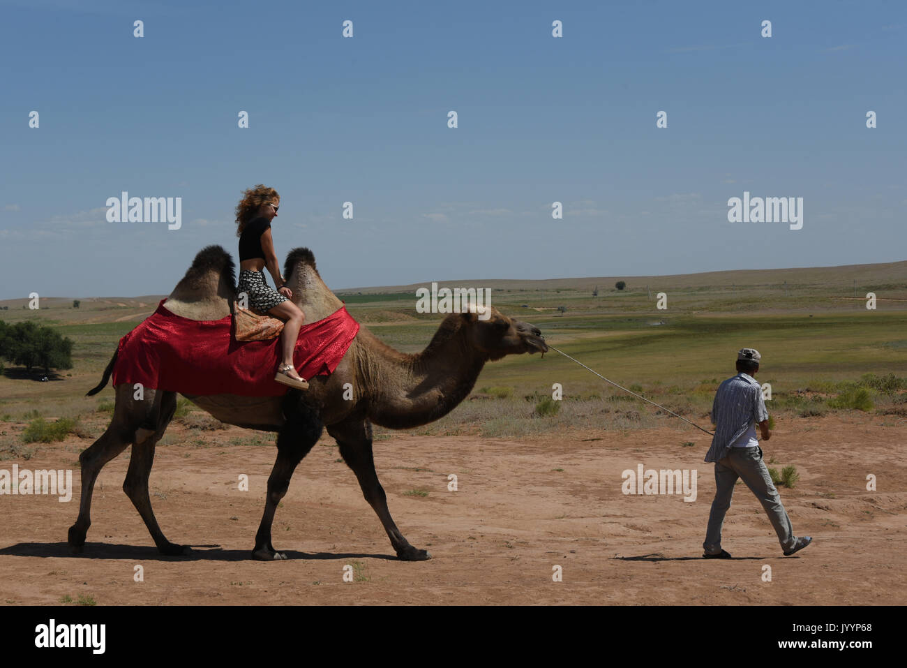 Bactrian camel riding for tourists in Astrakhan desert, Russia Stock ...