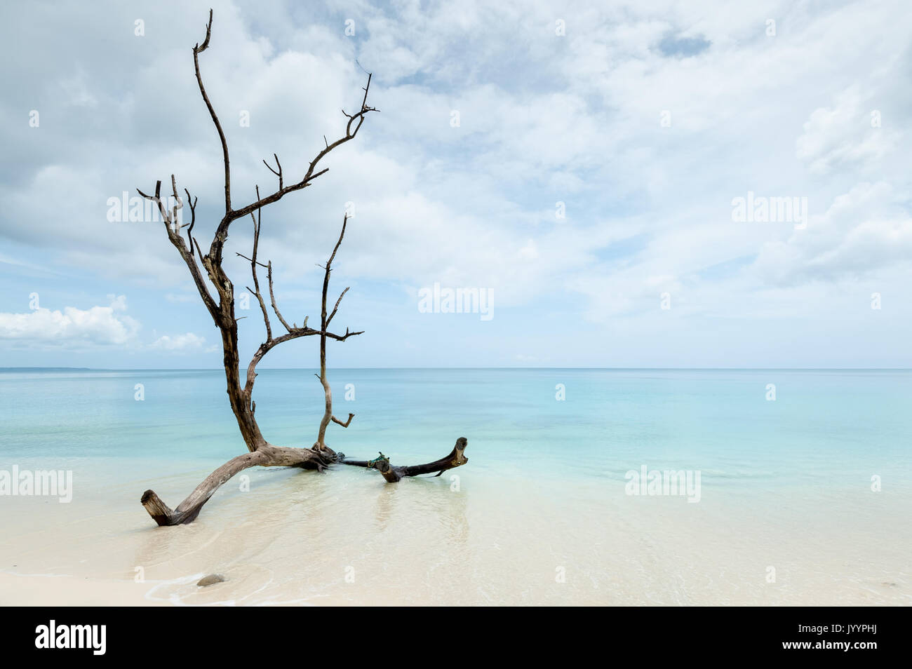 Andaman beaches hi-res stock photography and images - Alamy