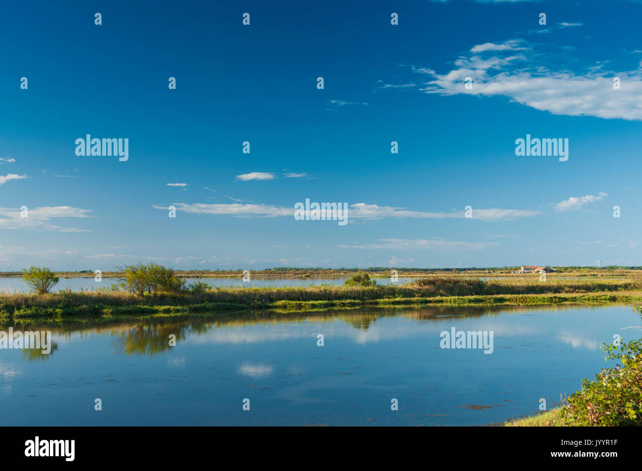 Landscape of the lagoon at the Po delta river national park, Adriatic ...