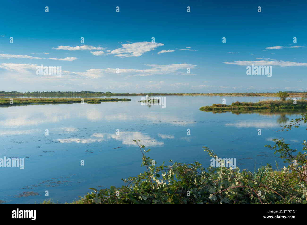Landscape of the lagoon at the Po delta river national park, Adriatic ...