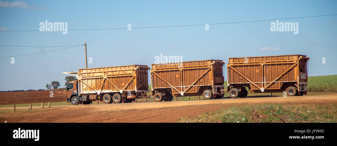 sugar cane transporter Stock Photo - Alamy