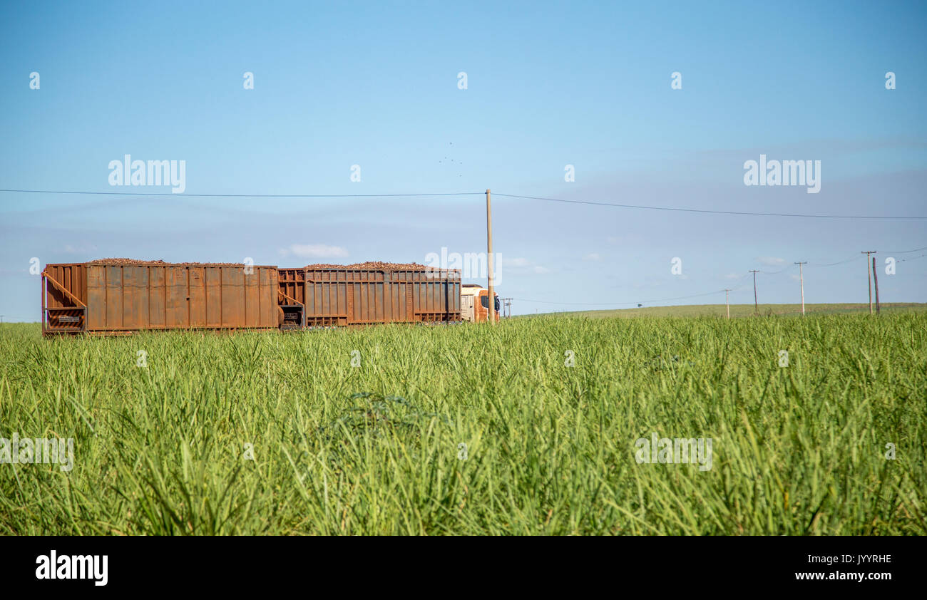 sugar cane transporter Stock Photo - Alamy