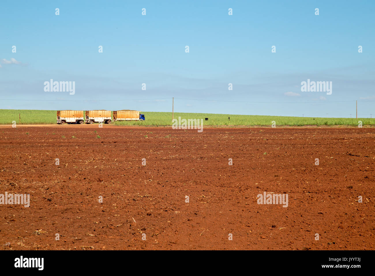 sugar cane transporter Stock Photo - Alamy