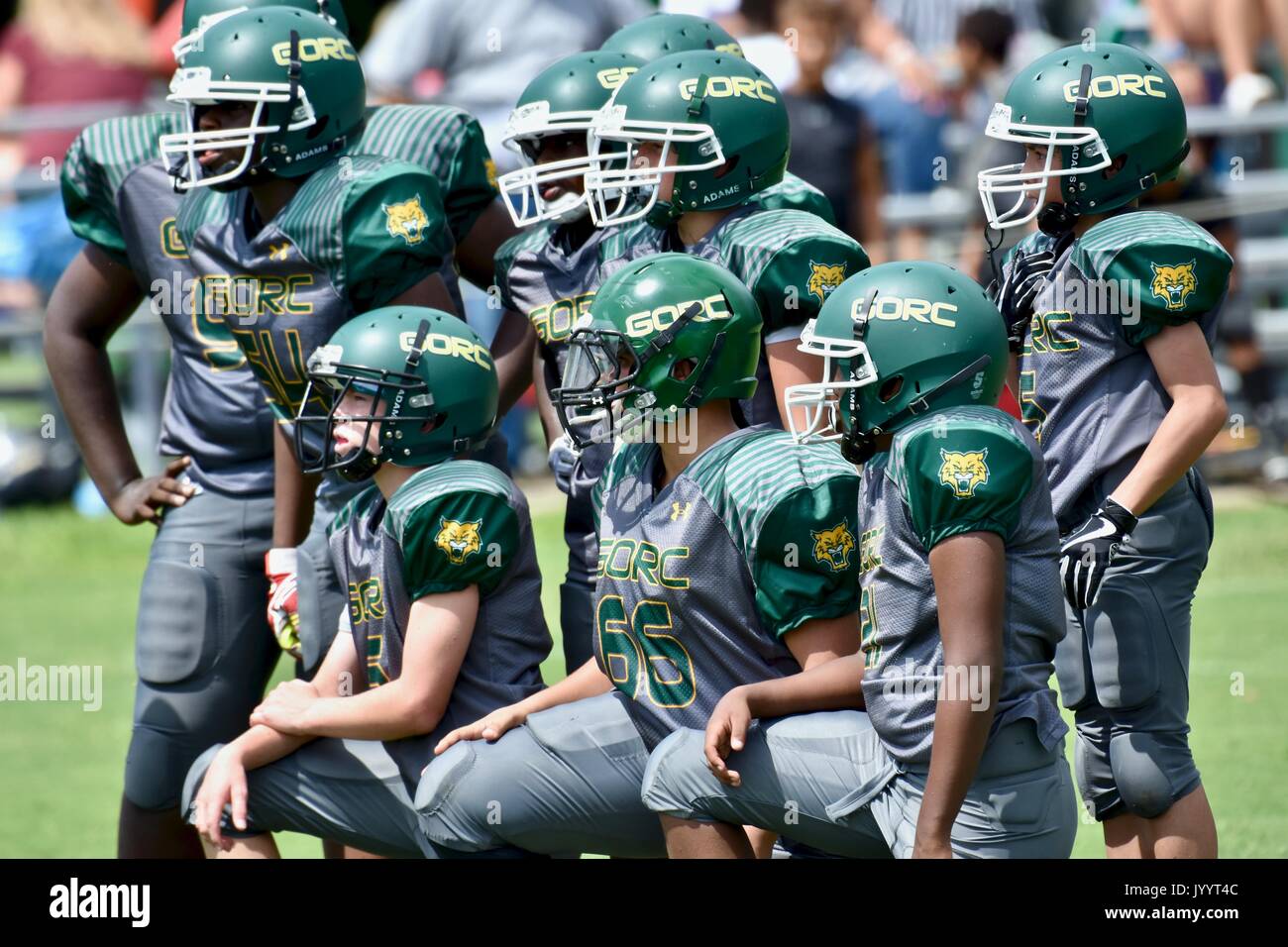 Gorc wildcats hi-res stock photography and images - Alamy