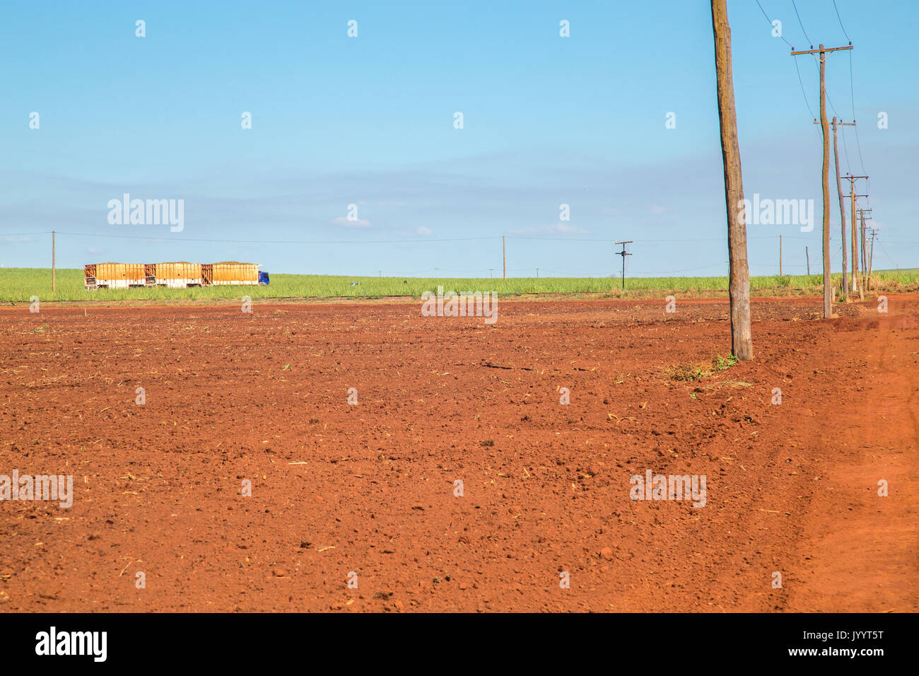 sugar cane transporter Stock Photo - Alamy
