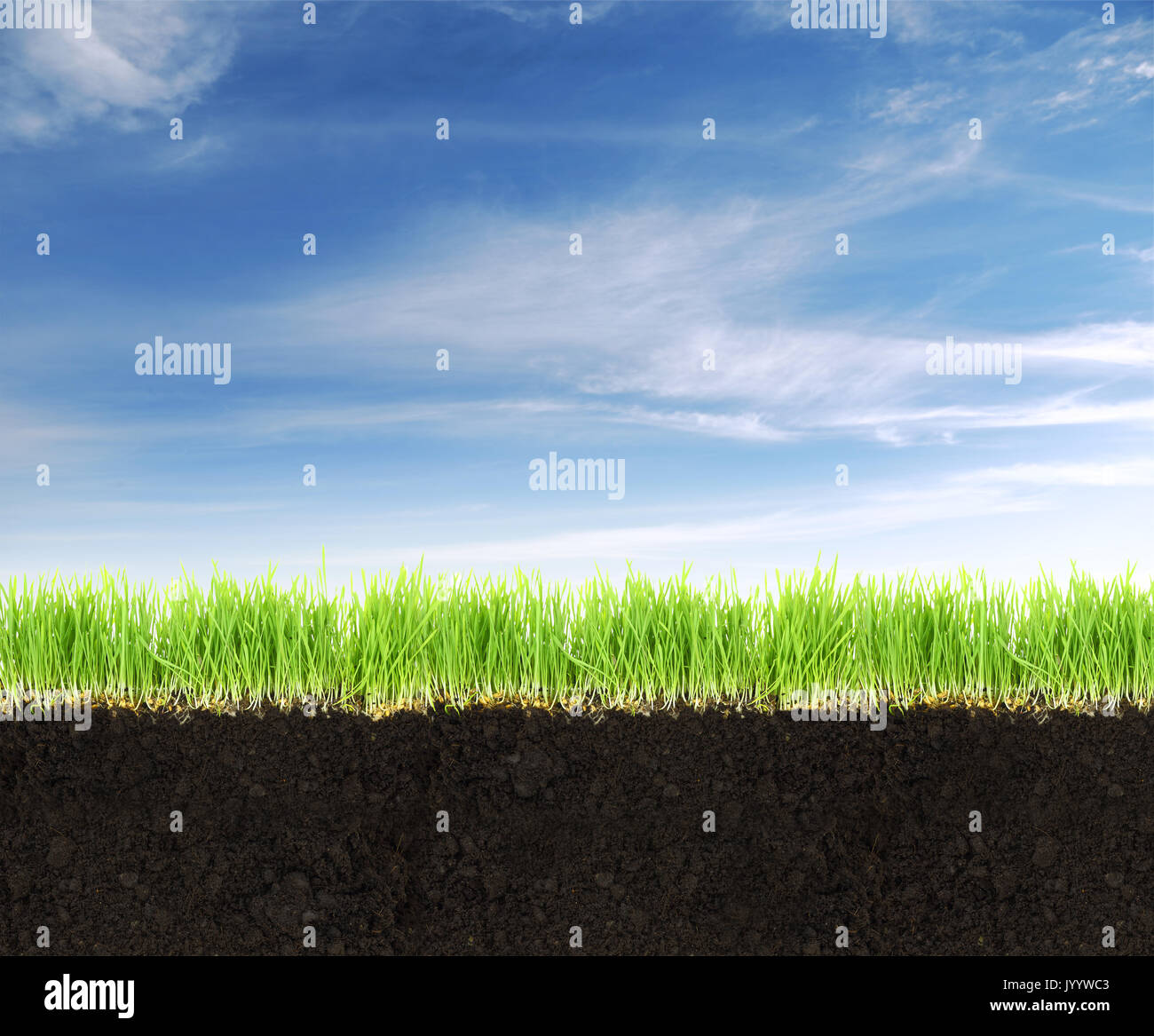 Soil cross section and grass hi-res stock photography and images - Alamy