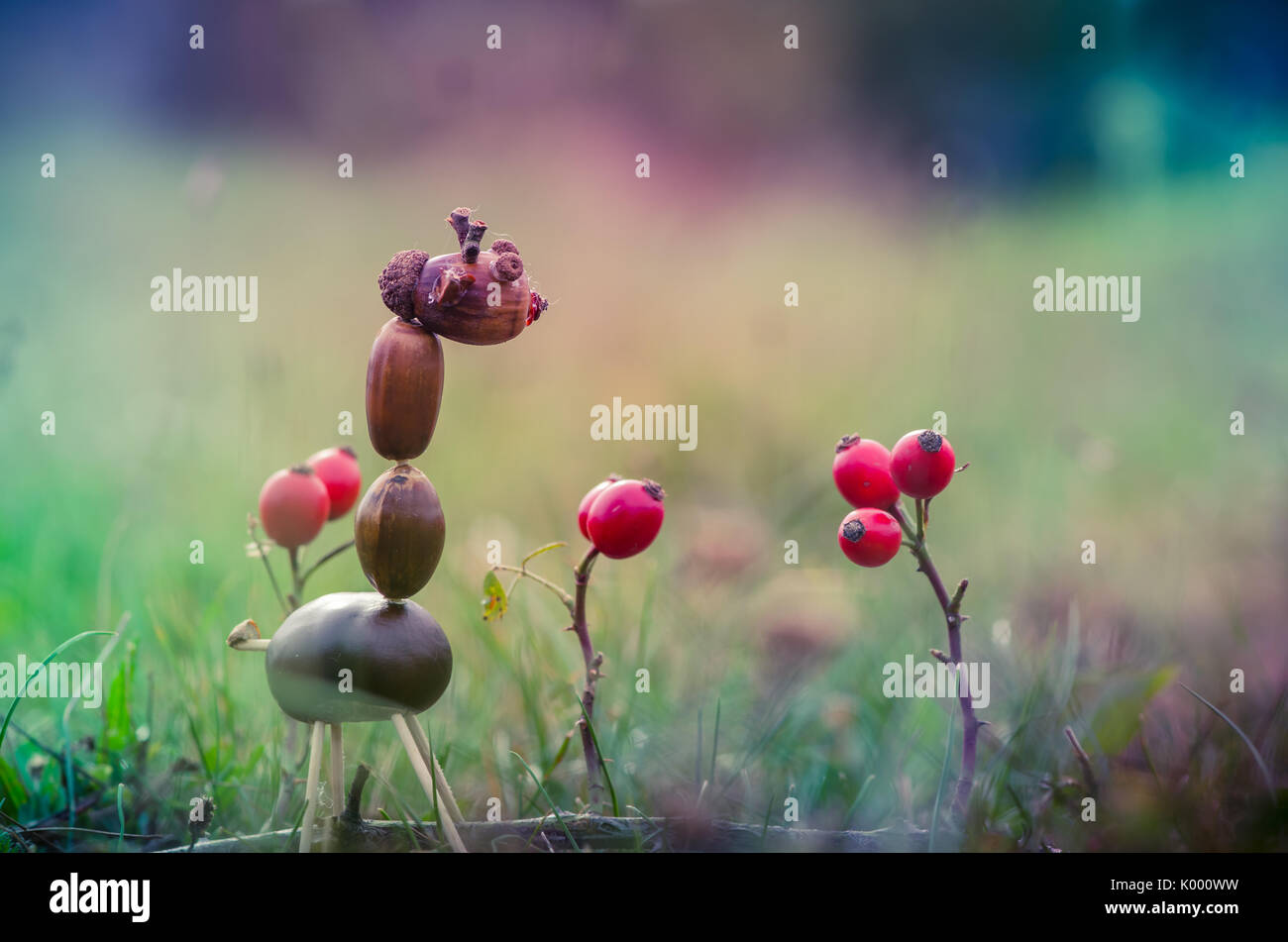 Chestnut toy hi-res stock photography and images - Alamy