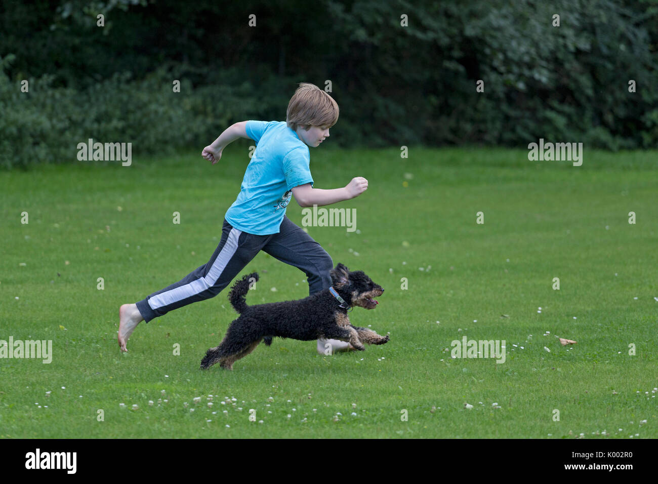 young boy running with dog Stock Photo - Alamy