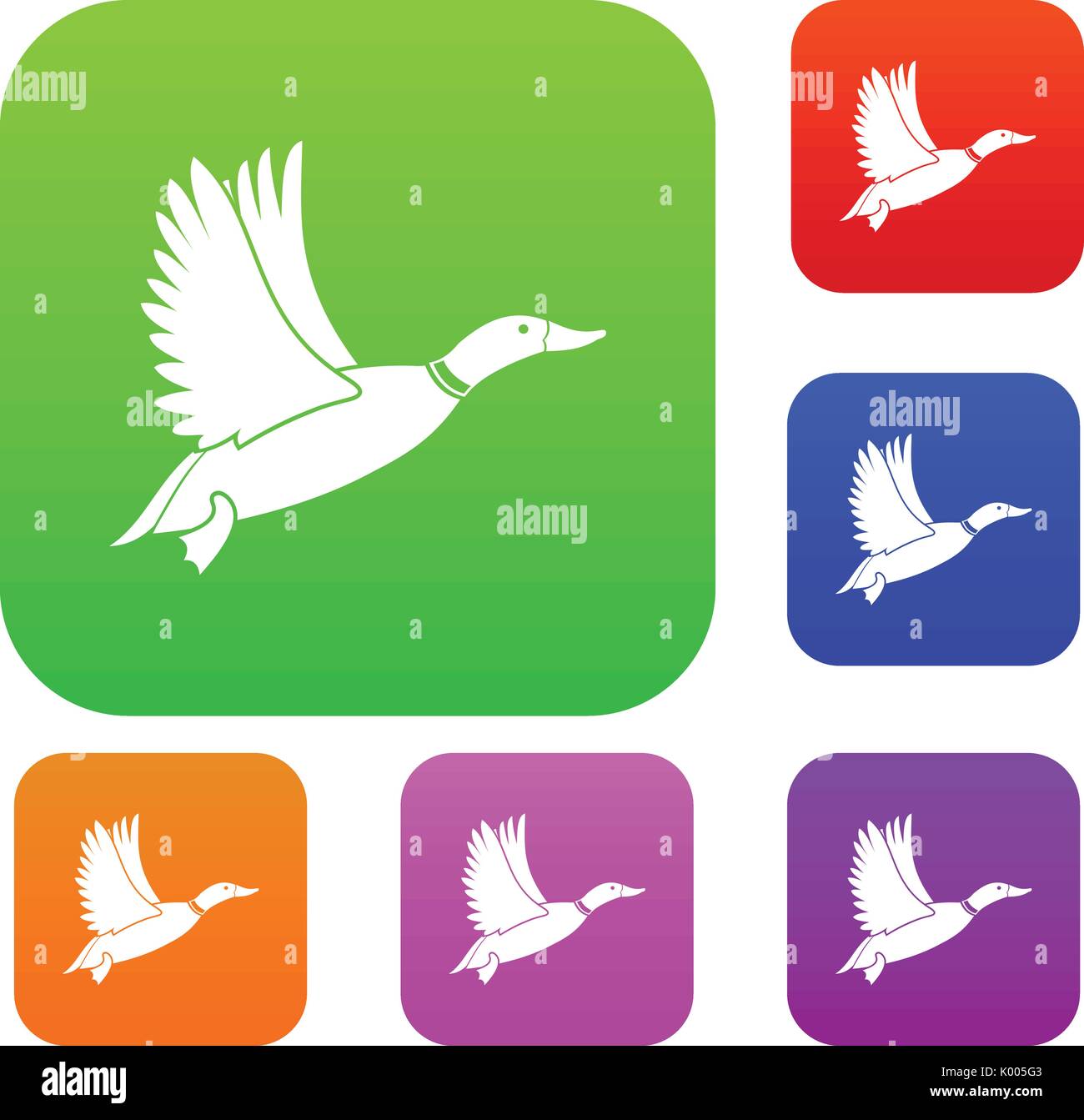 Duck set collection Stock Vector Image & Art - Alamy