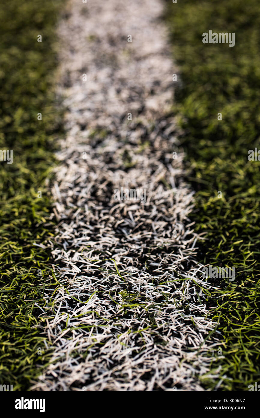 green grass pattern for football sport, Football field, soccer field ...