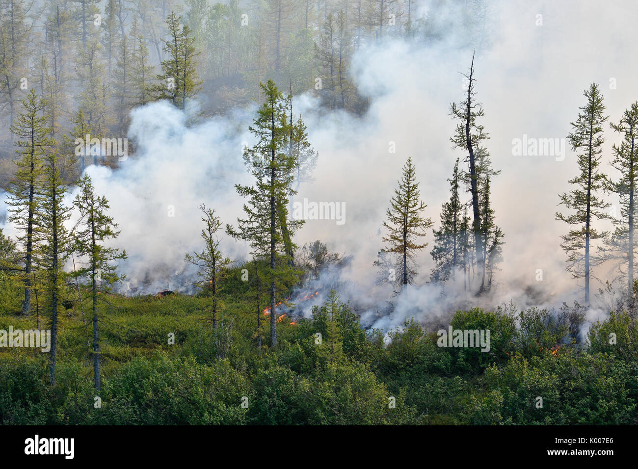 Outdoor fires hi-res stock photography and images - Alamy