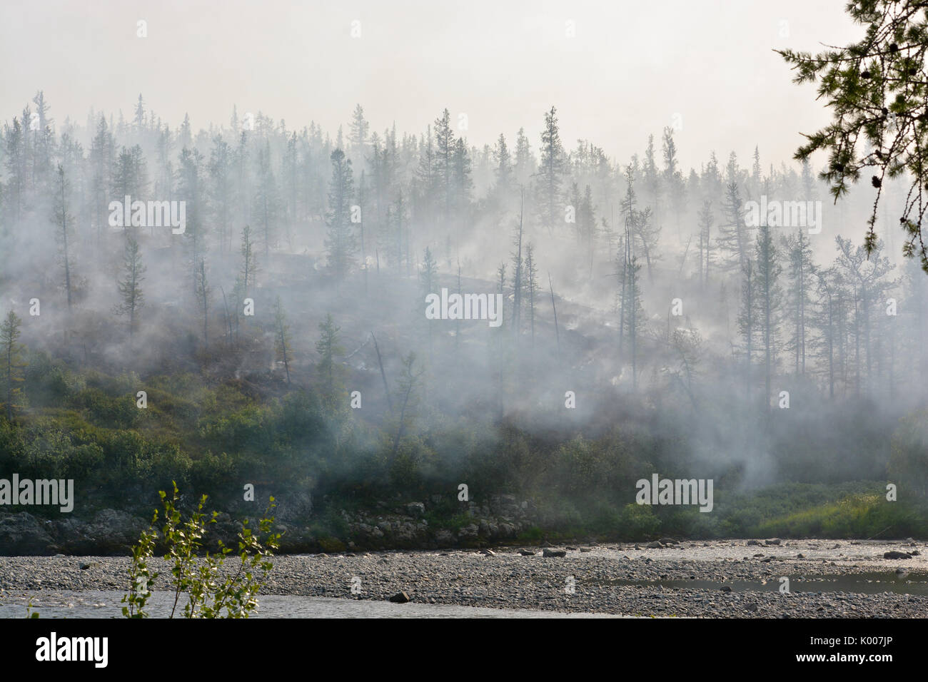 Forest fires. Northern forest fire and smoke Stock Photo - Alamy