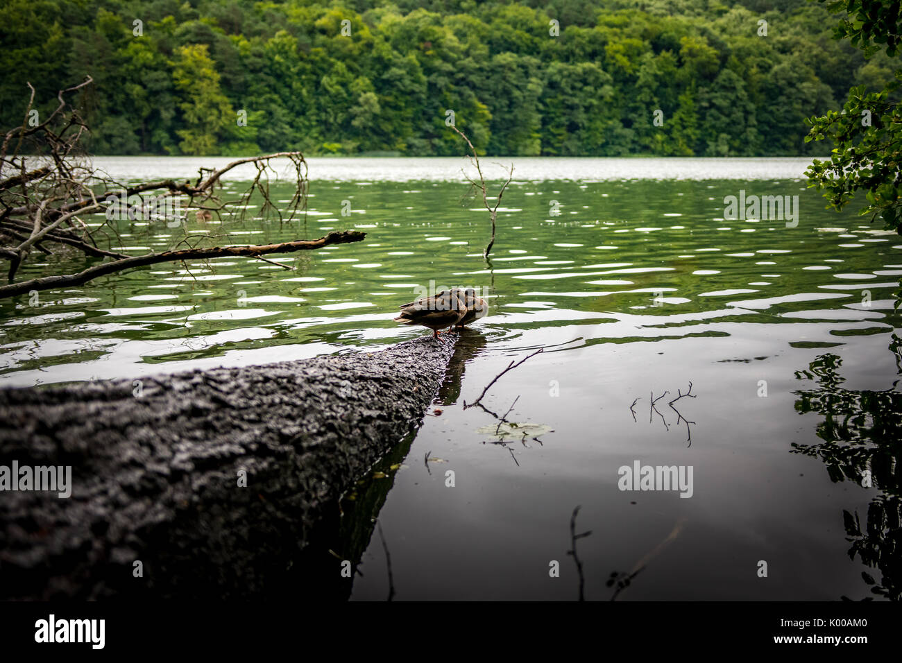 Rest at a lake hi-res stock photography and images - Alamy