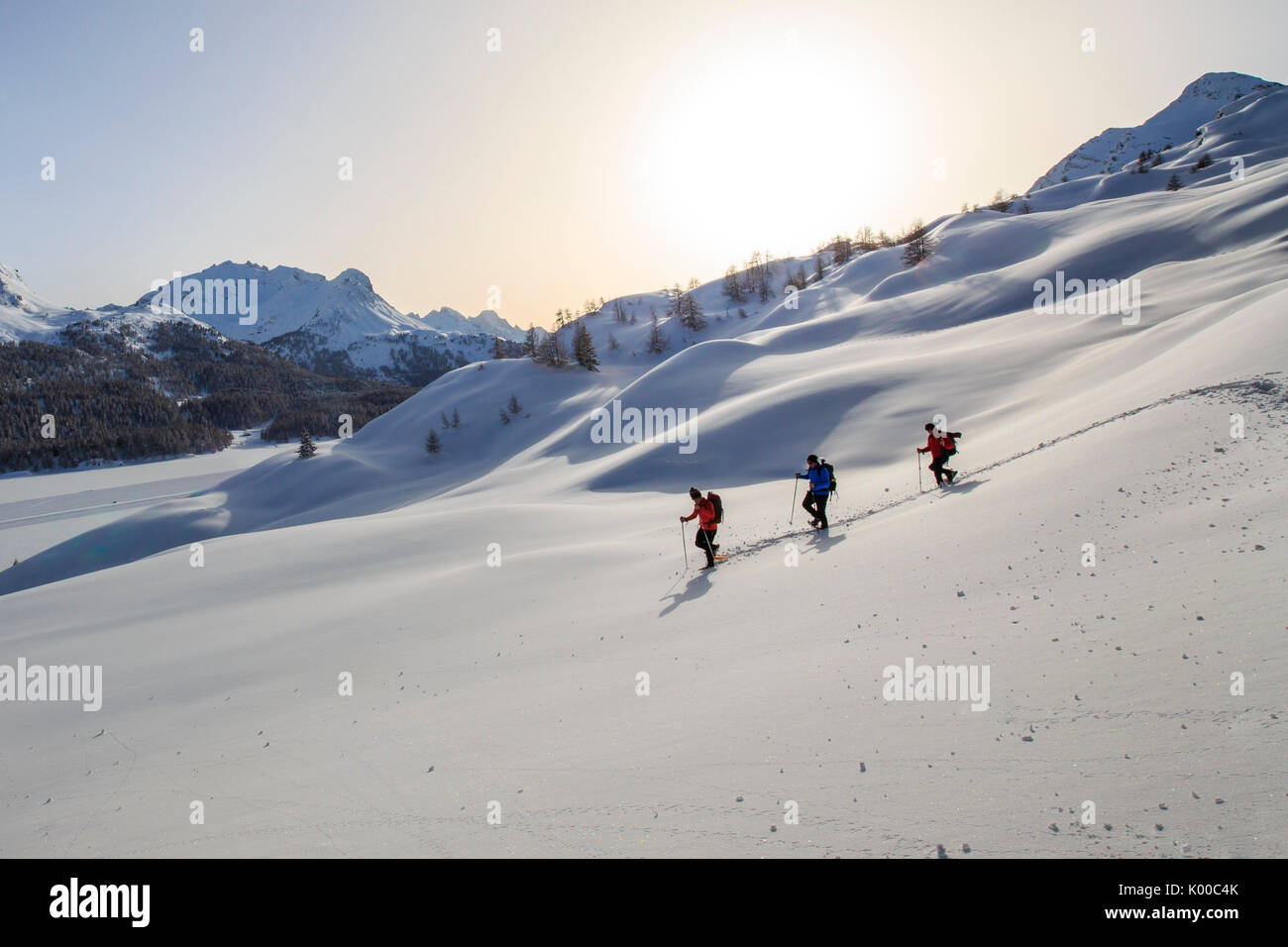 Walking paths and tracks hi-res stock photography and images - Alamy