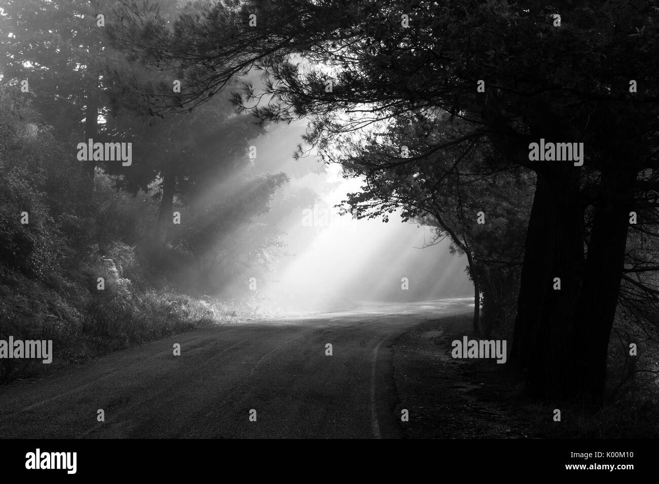 Misty autumn sunrise in Black and White Stock Photos & Images - Alamy