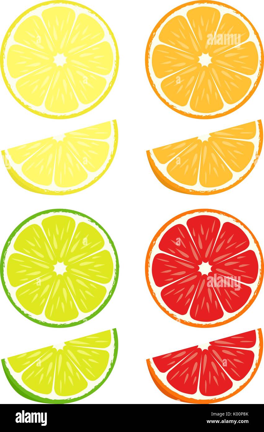Slices grapefruit lemon lime Stock Vector Images - Alamy
