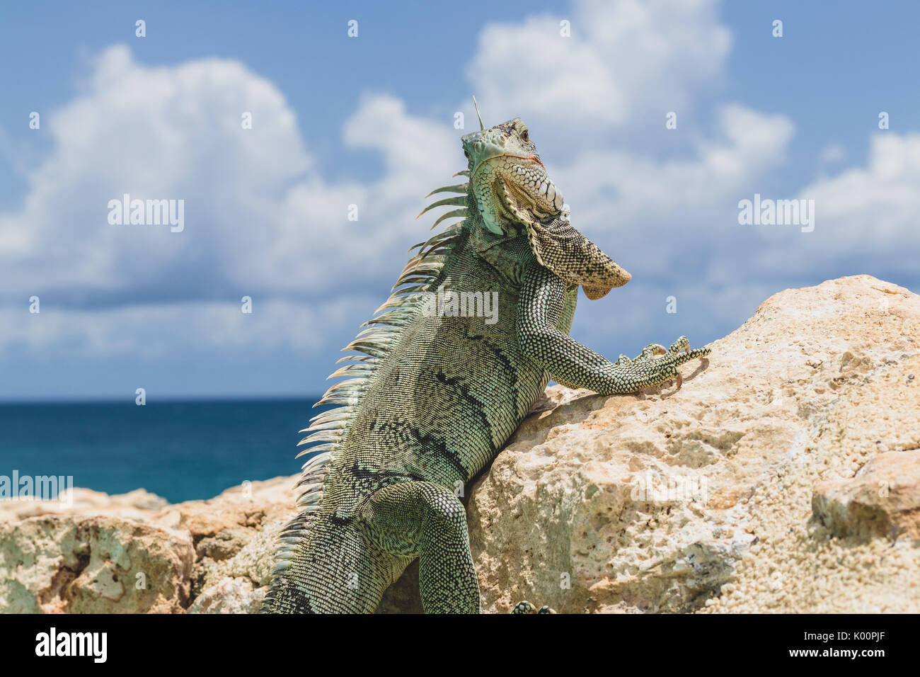 Saint Martin is part of the Leeward Islands in the Caribbean Sea. It ...