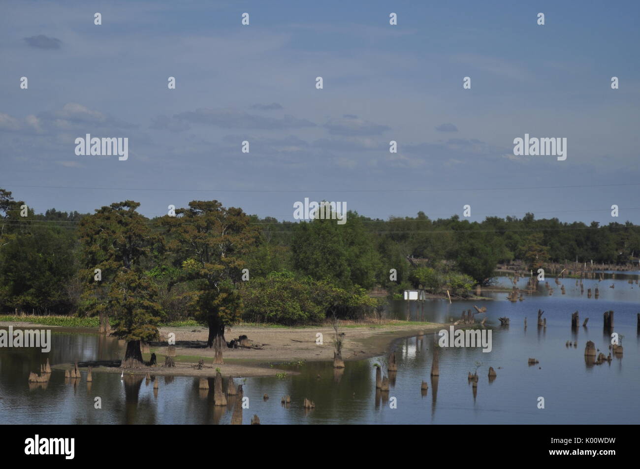 Cypress swamps louisiana hi-res stock photography and images - Alamy