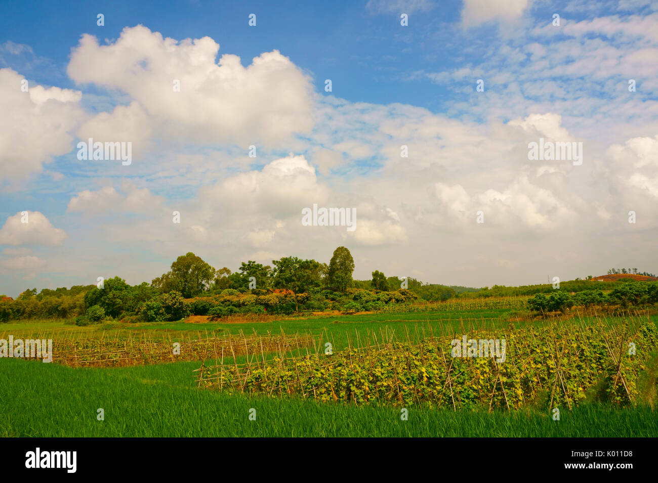 Midlands landscape hi-res stock photography and images - Alamy