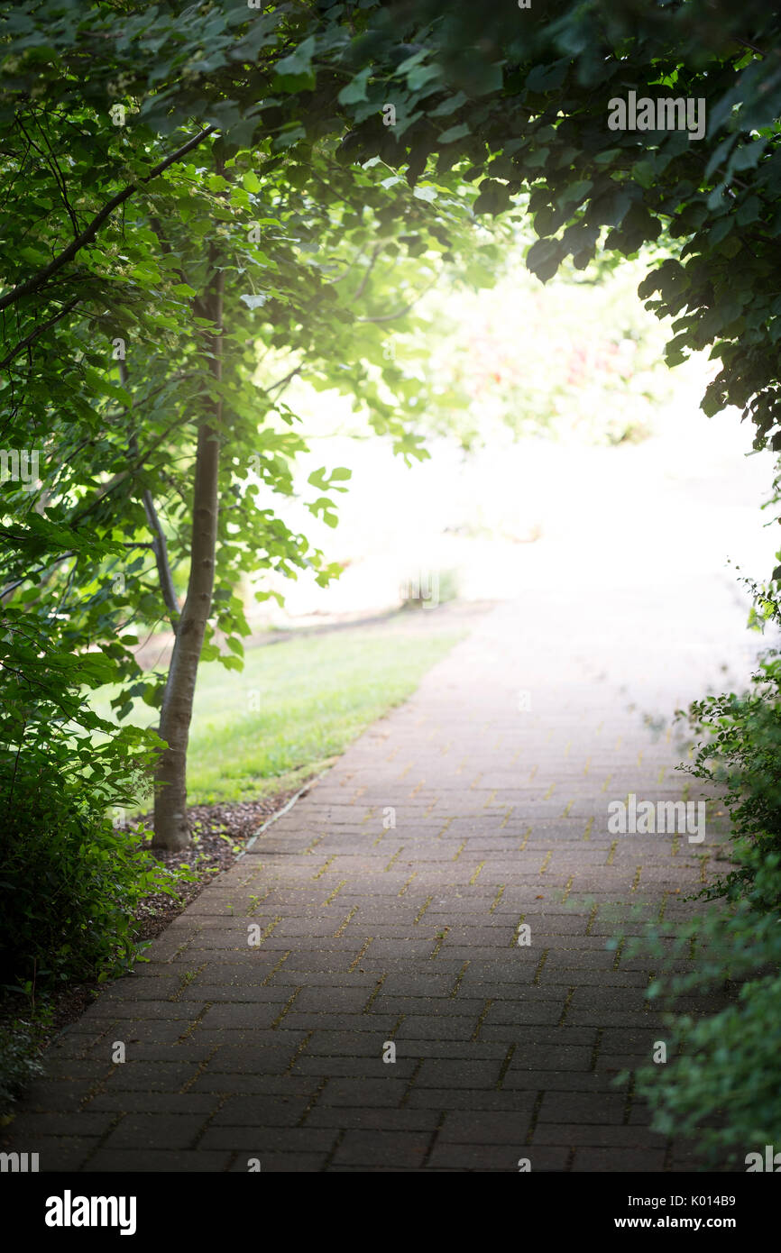 Path leading into a summer garden Stock Photo - Alamy