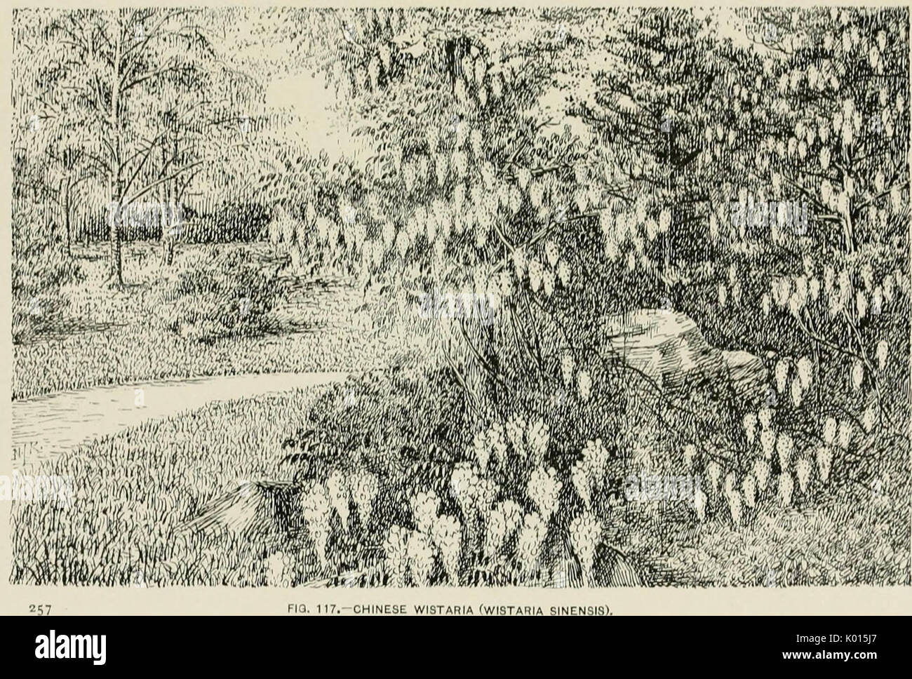 "Lawns and gardens. How to plant and beautify the home lot, the ...