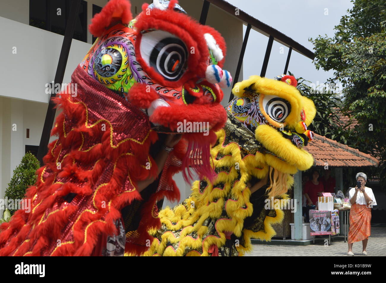 Barongsai High Resolution Stock Photography and Images - Alamy