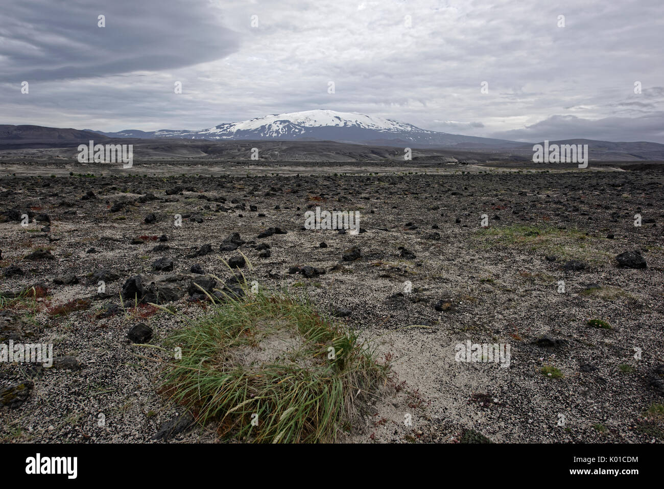 Sprengisandur is a highland plateau in Iceland, defined roughly as the ...