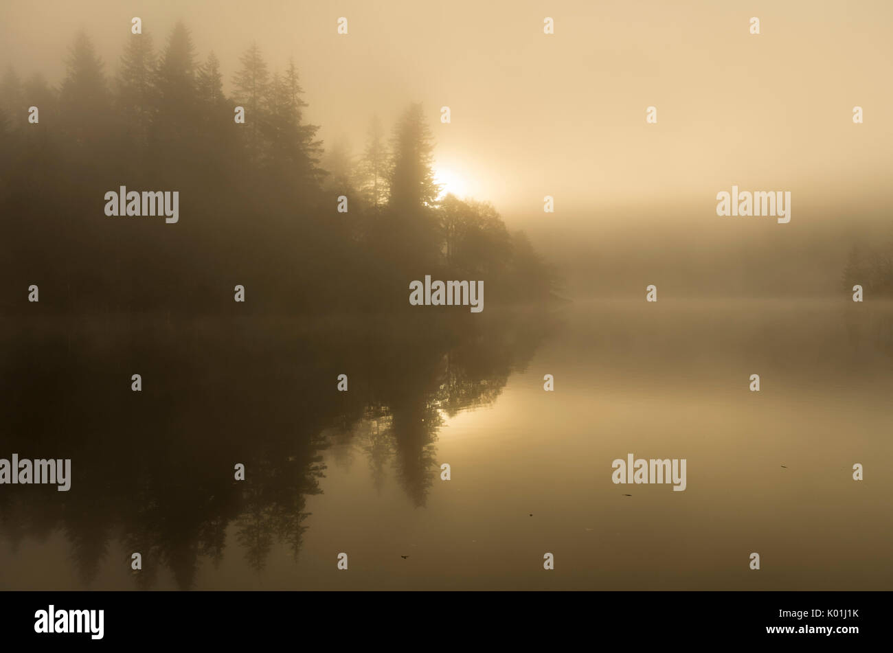 Sun almost breaking through the mist behind some trees, Loch Ard, The ...