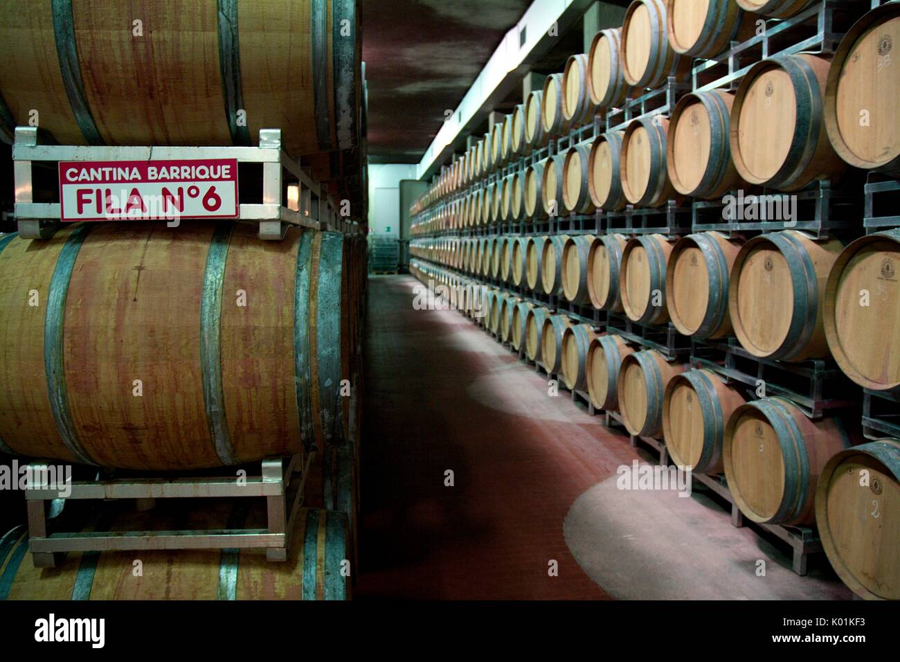 Barrels of Barrique in the wine cellar of the Nera winery in Valtellina ...