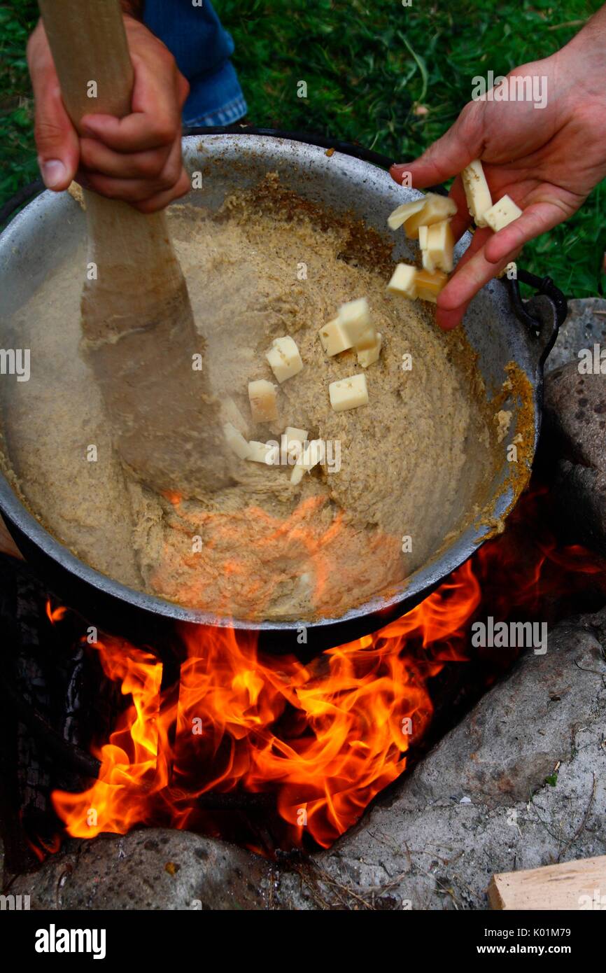 Cooking polenta taragna, a typical dish from Valtellina, made with ...
