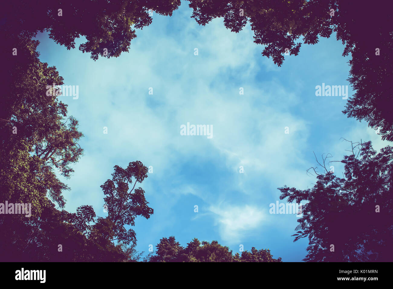 blue sky with cloud, nature frame and background Stock Photo - Alamy