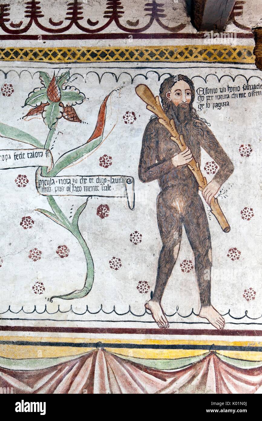 Homo selvadego hi-res stock photography and images - Alamy