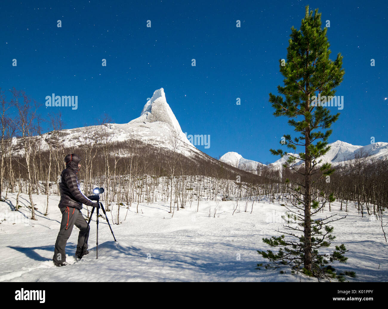 Photographer in the woods next to the snowy peak of the Stetind ...