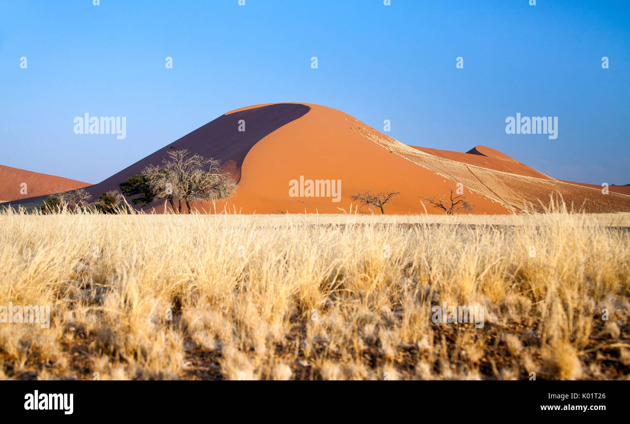 Dune 45 the star dune composed of 5 million year old sand Sossusvlei ...