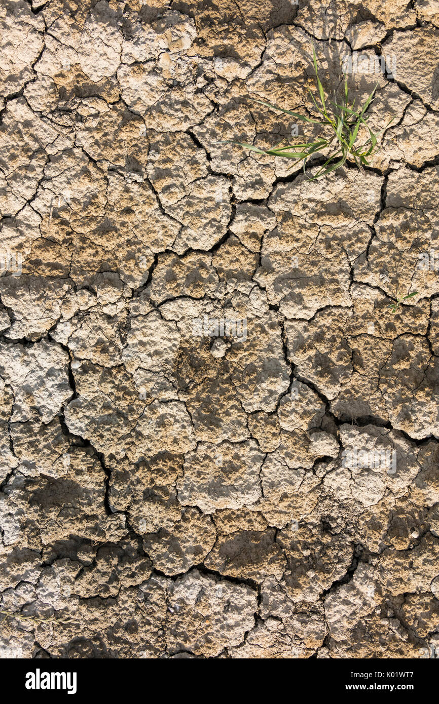 Details of the dry clay soil typical of the land of Crete Senesi ...
