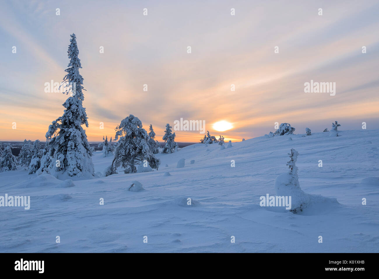 Sun and clouds frame the the snowy woods in the cold arctic winter Ruka ...