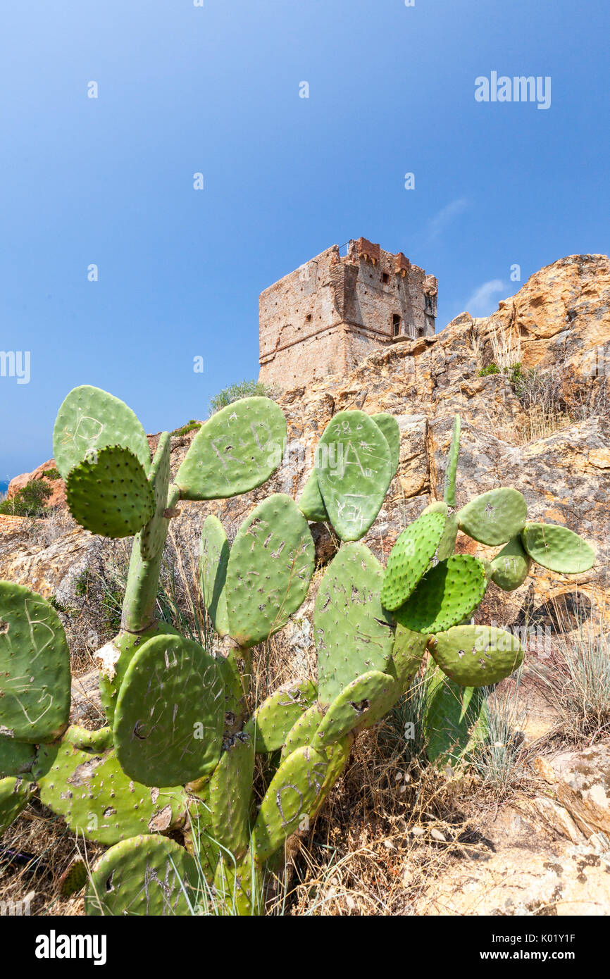 Prickly pears frame the ancient Genoese tower built as fortress of ...