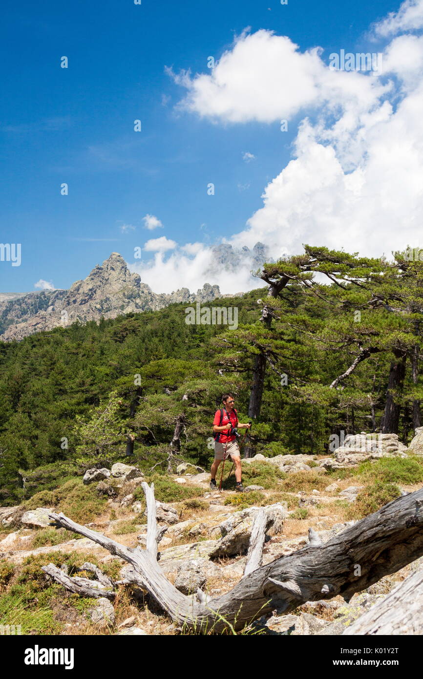 Hiker in green woods surrounded by rocky peaks Col de Bavella (Pass of ...
