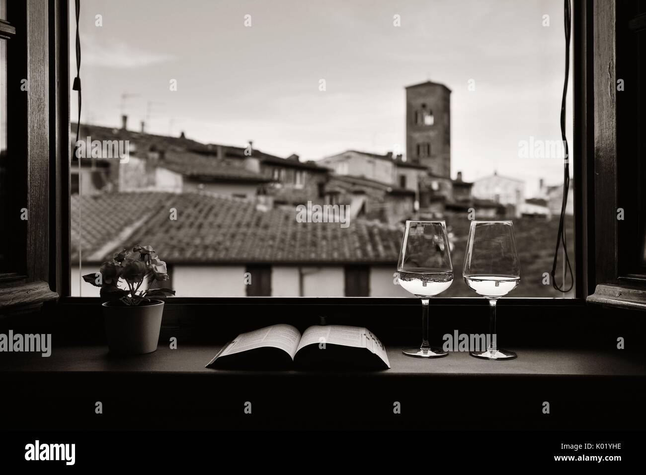 Window view with flower pot, book, wine and historic buildings ...