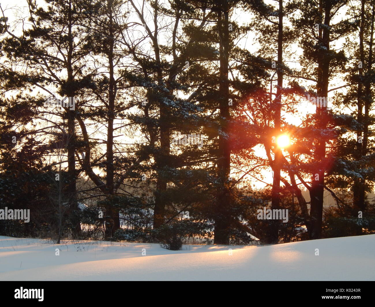 Sunset through treeline hi-res stock photography and images - Alamy