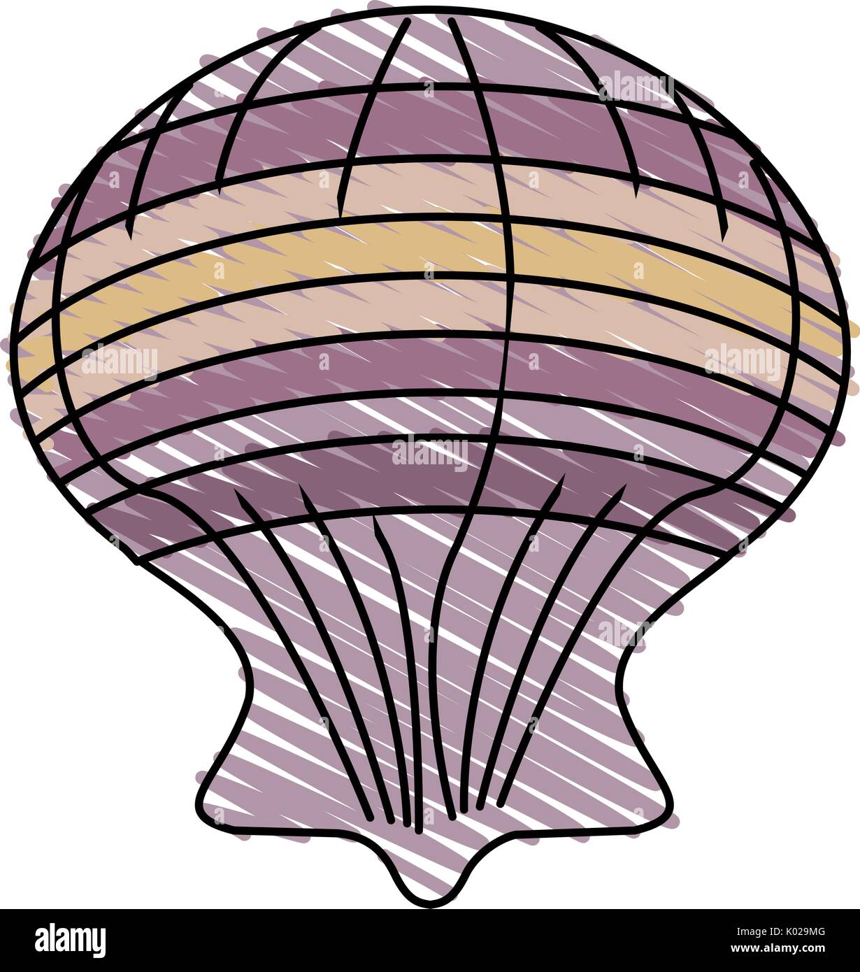 shell vector illustration Stock Vector Image & Art - Alamy