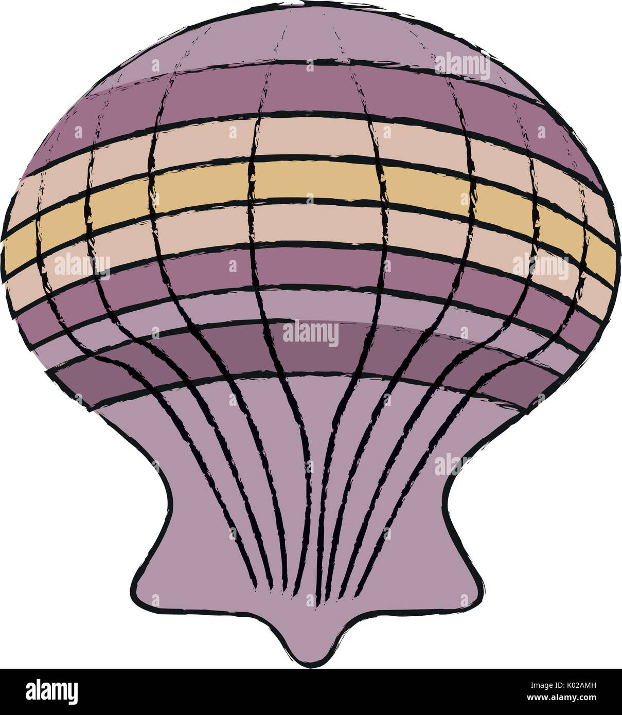 seashell vector illustration Stock Vector Image & Art - Alamy