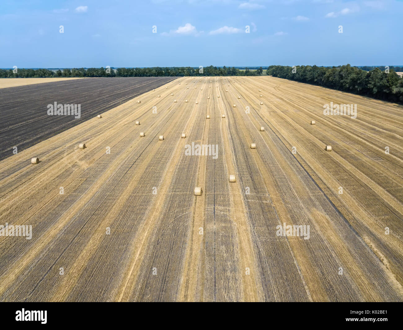 Gold field with haystacks Stock Photo - Alamy