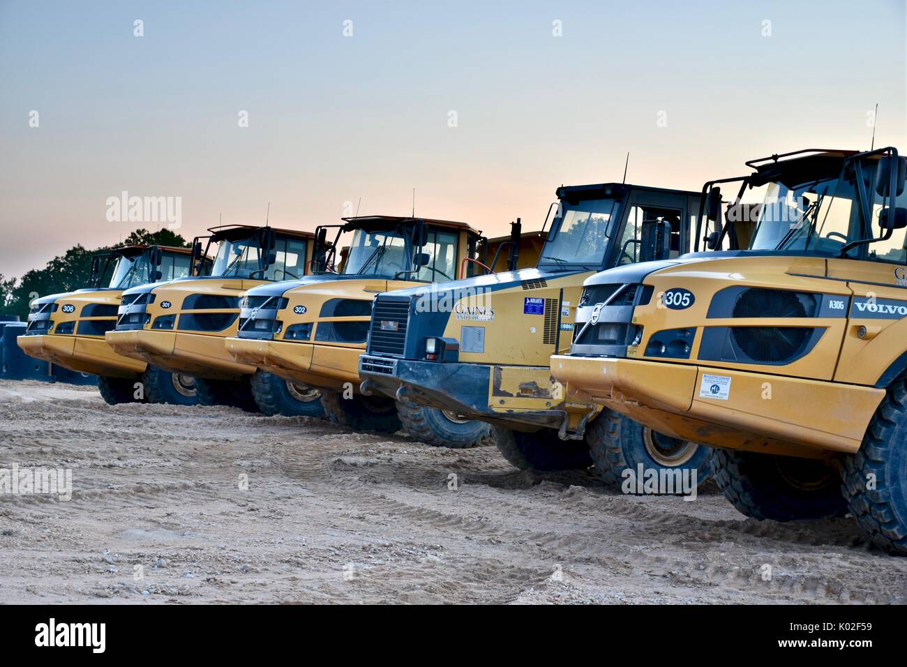 Volvo dump trucks at logging deforestation site Stock Photo - Alamy