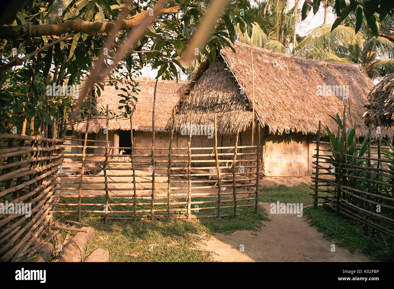 Huts and the surrounding bamboo fence in a typical In Indian village ...