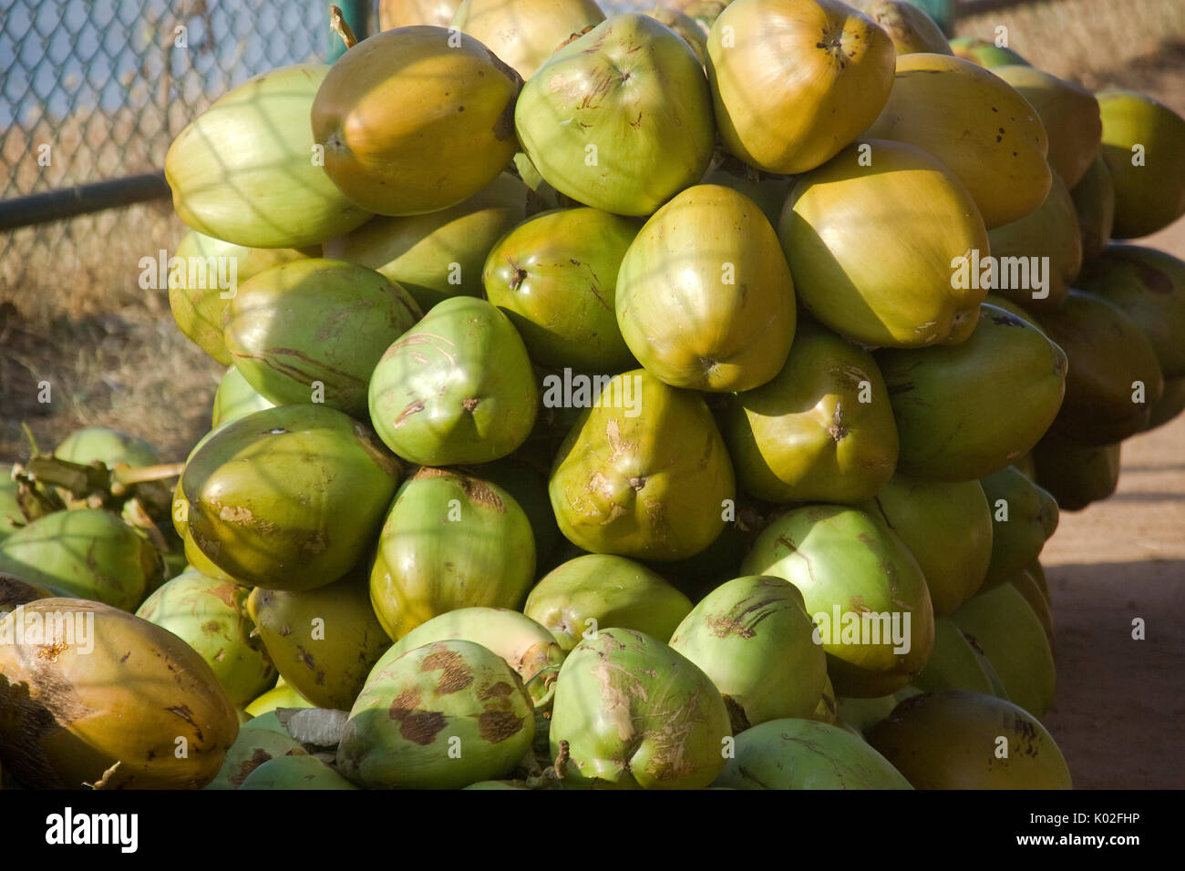 Coconut husks shells hi-res stock photography and images - Alamy