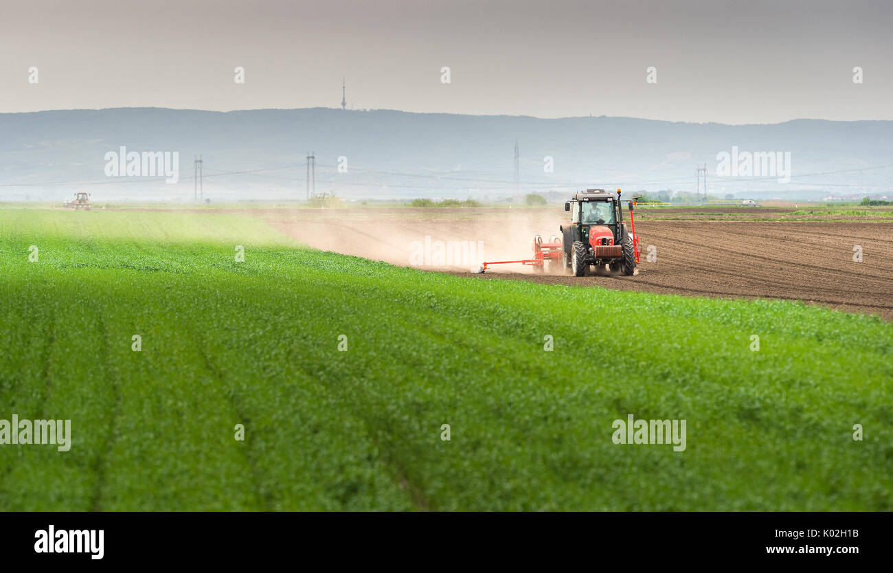Farmer seeding crops at field Stock Photo - Alamy