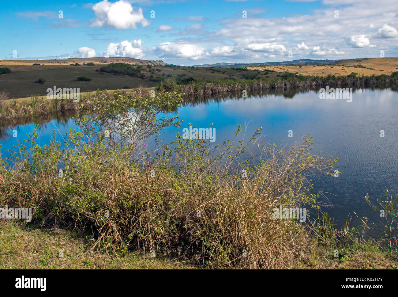 Rural Dam South Africa High Resolution Stock Photography and Images - Alamy