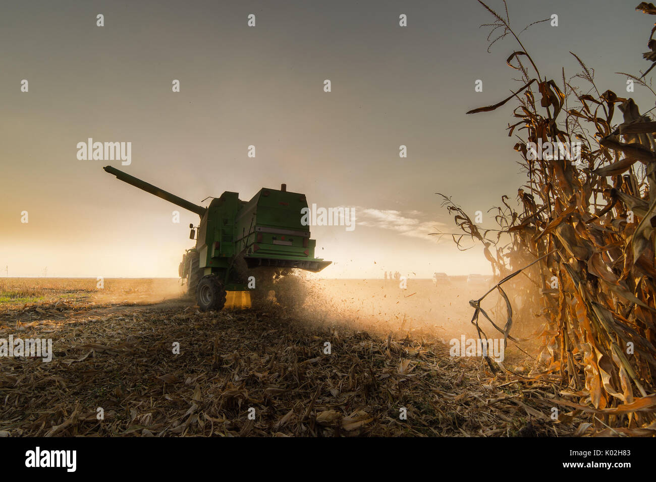Corn combine hi-res stock photography and images - Alamy